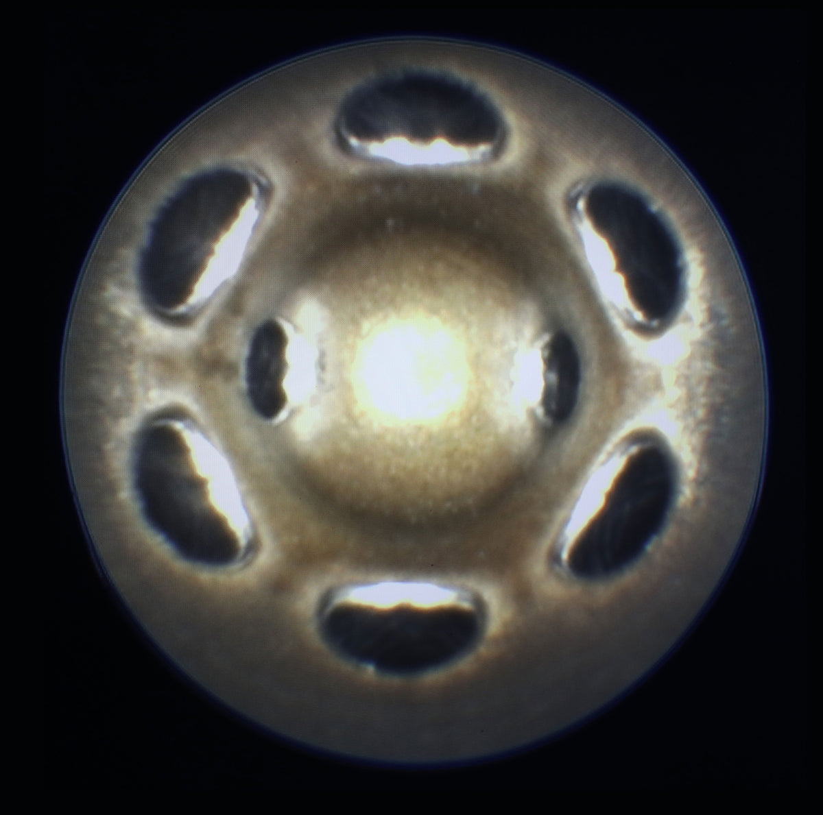 Dodge Cummins 98.5-02 24v 100HP Injector Nozzle Set – Dynomite Diesel ...